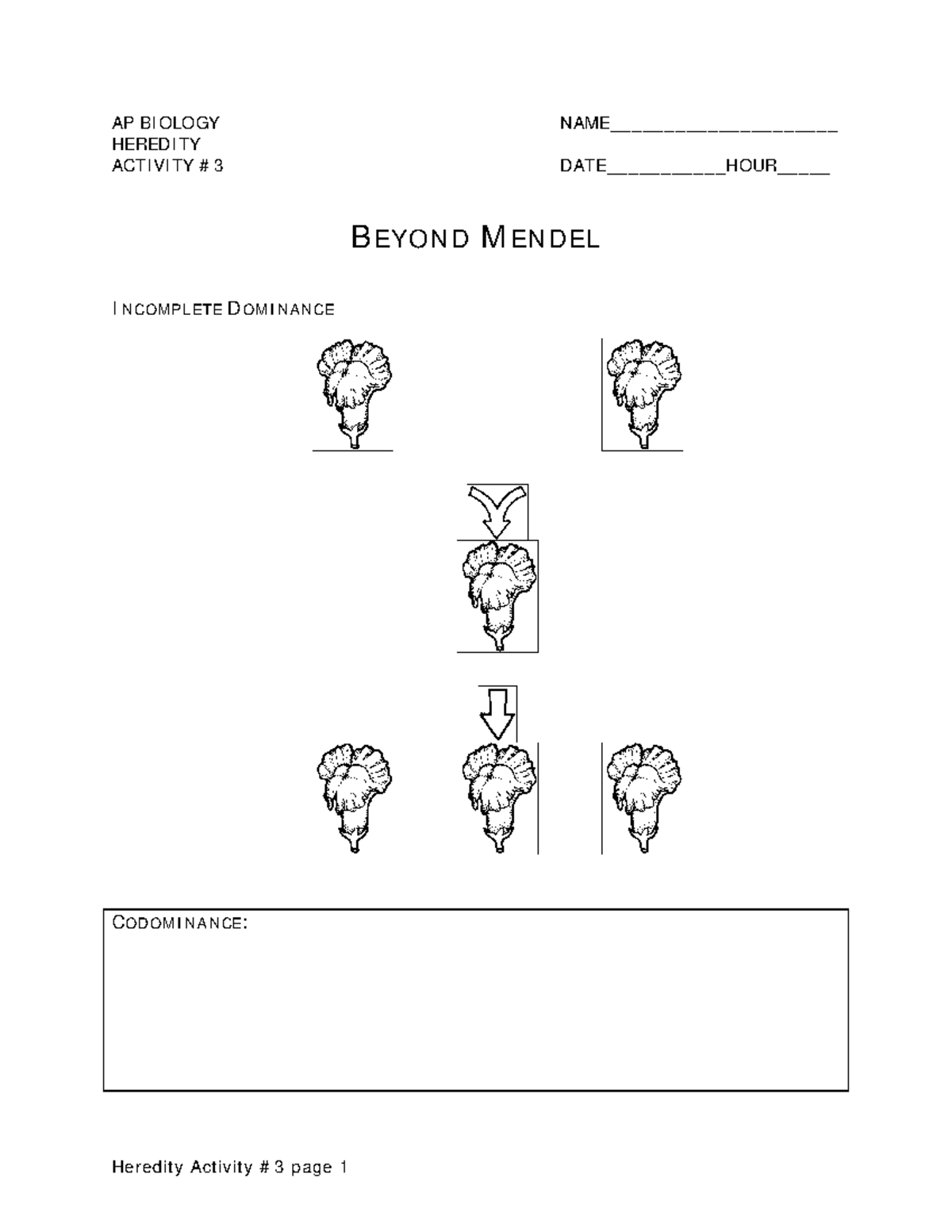 Heredity 3- Beyond Mendel Packet - AP BIOLOGYHEREDITY NAME ...