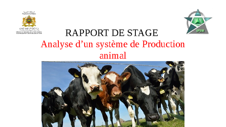 RAPPORT DE STAGE - Analyse du Système de Production Laitière - 1ère Année - Studocu