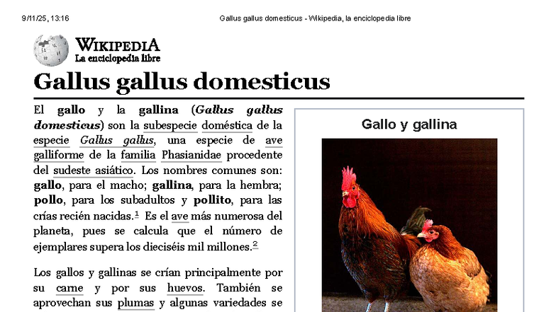 Gallus gallus domesticus: Información y Características Esenciales ...