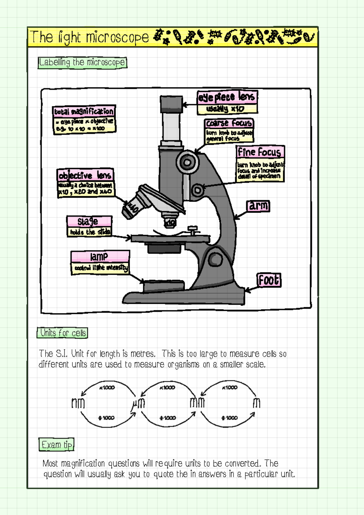Labelling the Light Microscope: SI Units & Magnification Tips (BIO 6523 ...