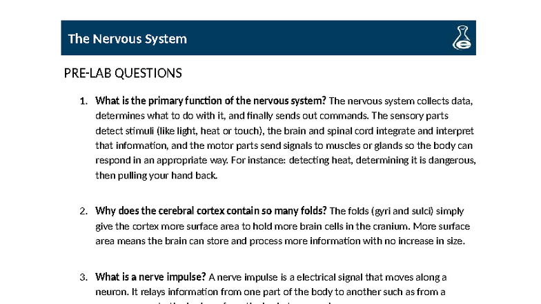 Lab 6: The Nervous System Final Exam Questions and Answers - Studocu