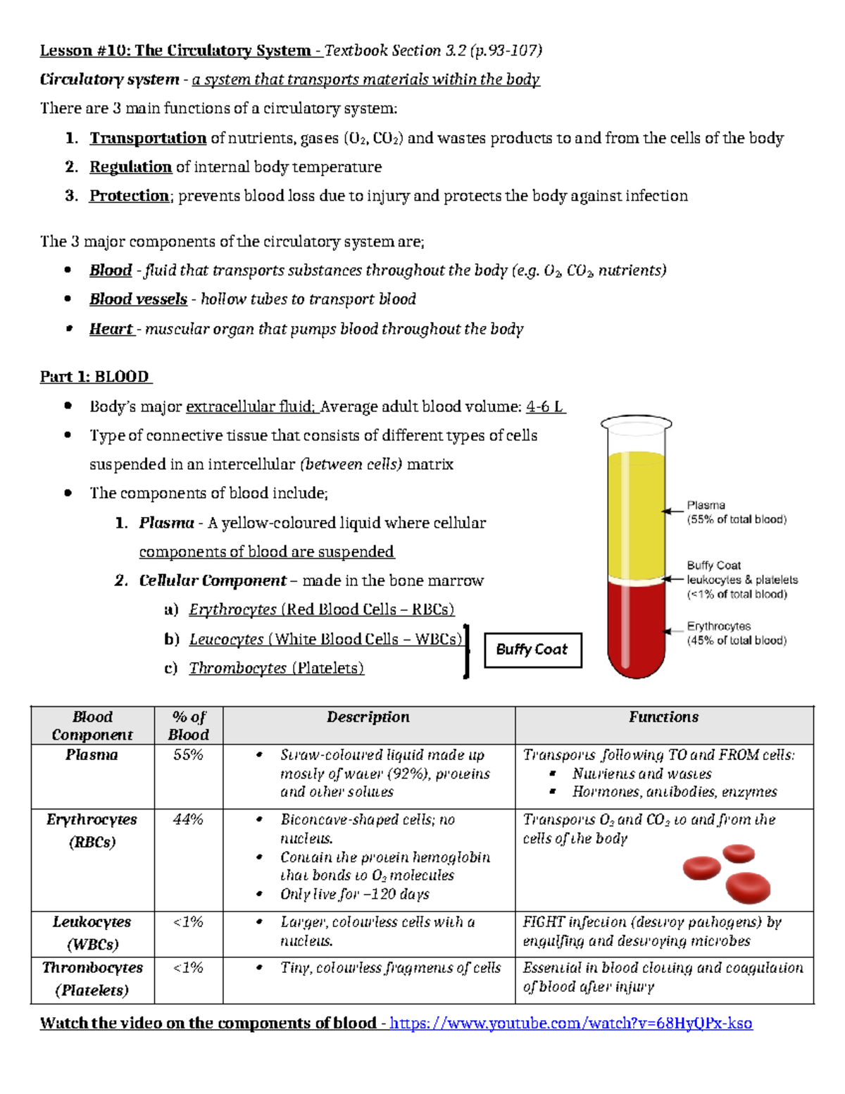 Lesson 10: Circulatory System Overview and Key Concepts (SNC2D1 ...