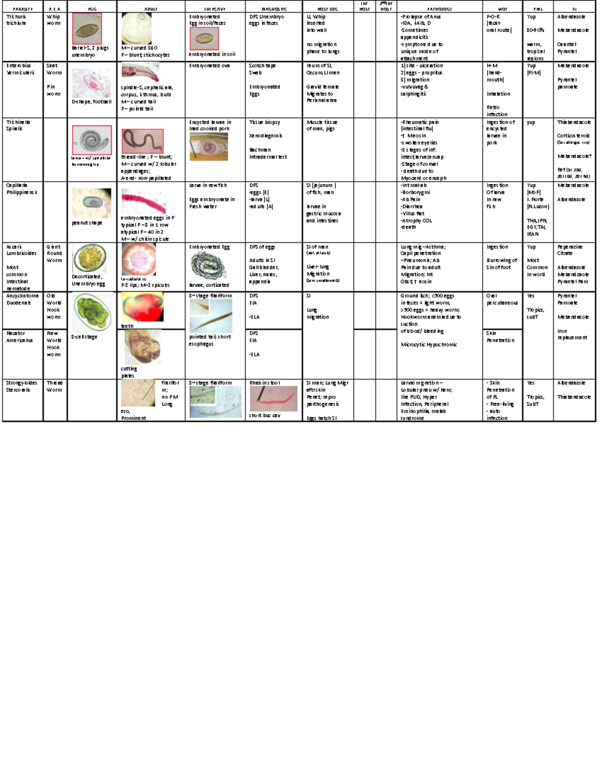 جدول تفريق الطفيليات - معلومات العدوى وطرق التشخيص - Studocu