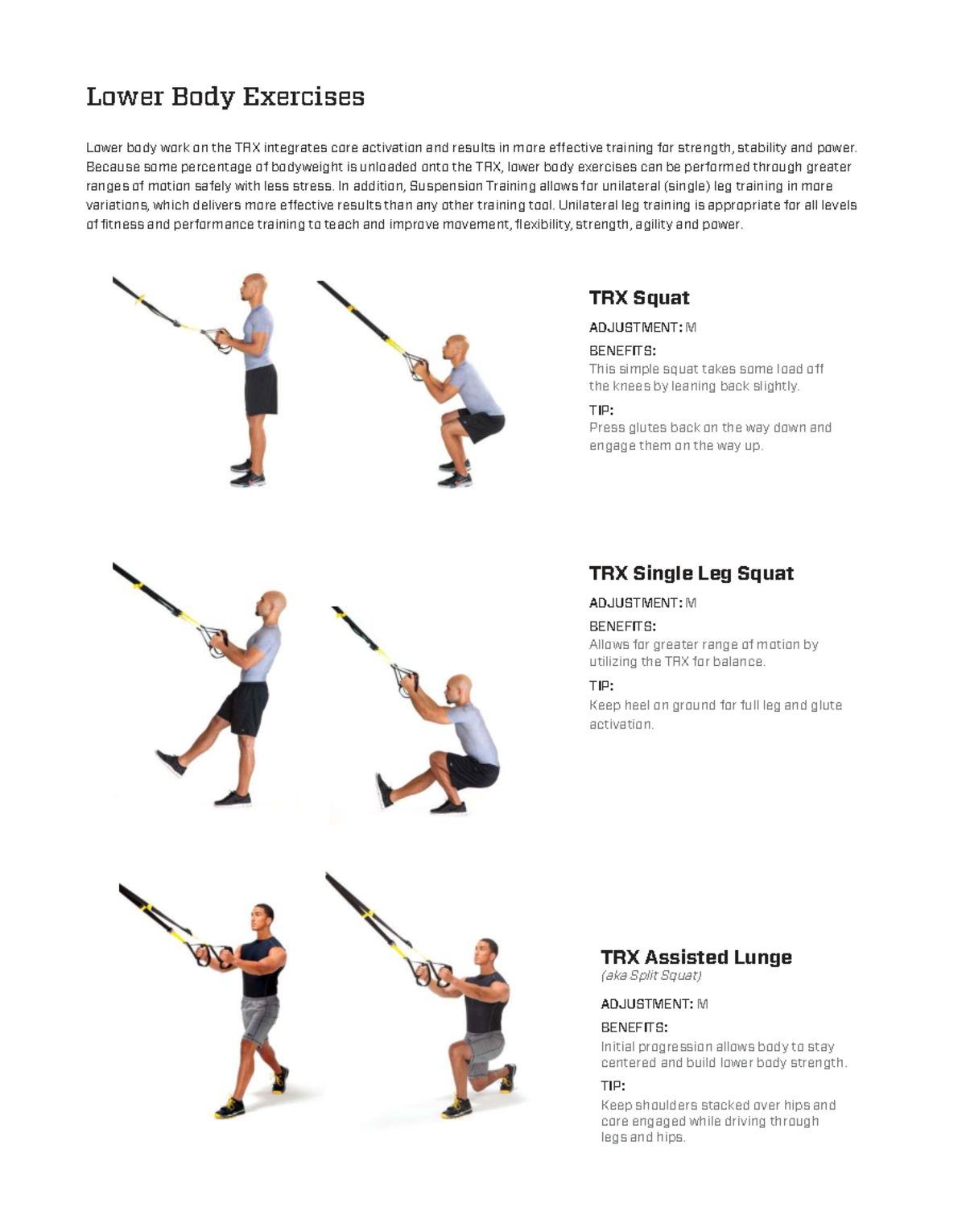 Effective TRX Lower & Upper Body Exercises Guide (Course Code: PE101 ...