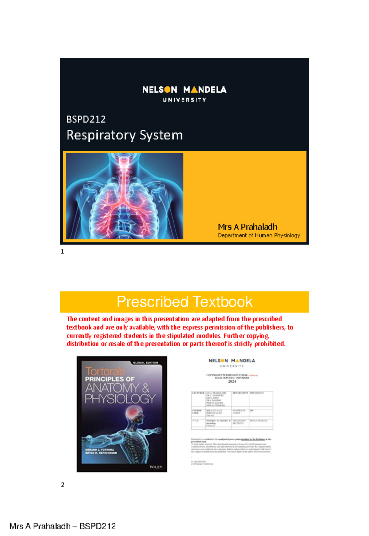 BSP2 Lecture Notes: Understanding the Respiratory System (2024) - Studocu