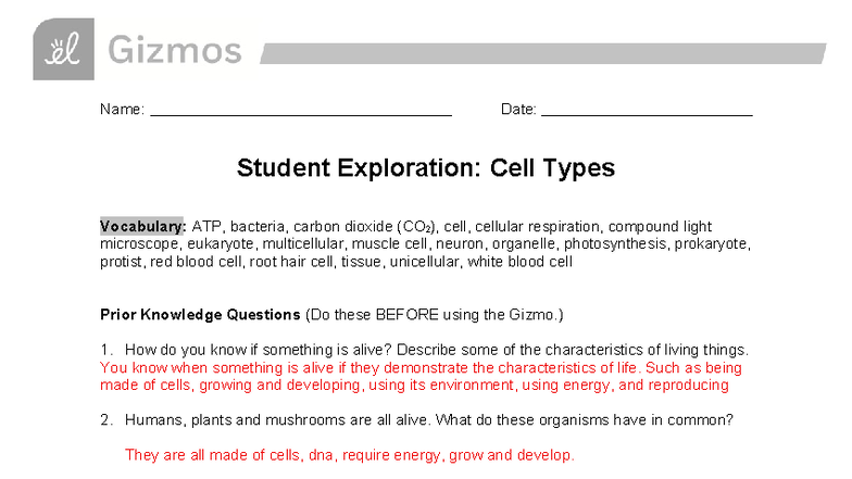 Cell Types Gizmos Worksheet AK: Exploring Cellular Structures and ...