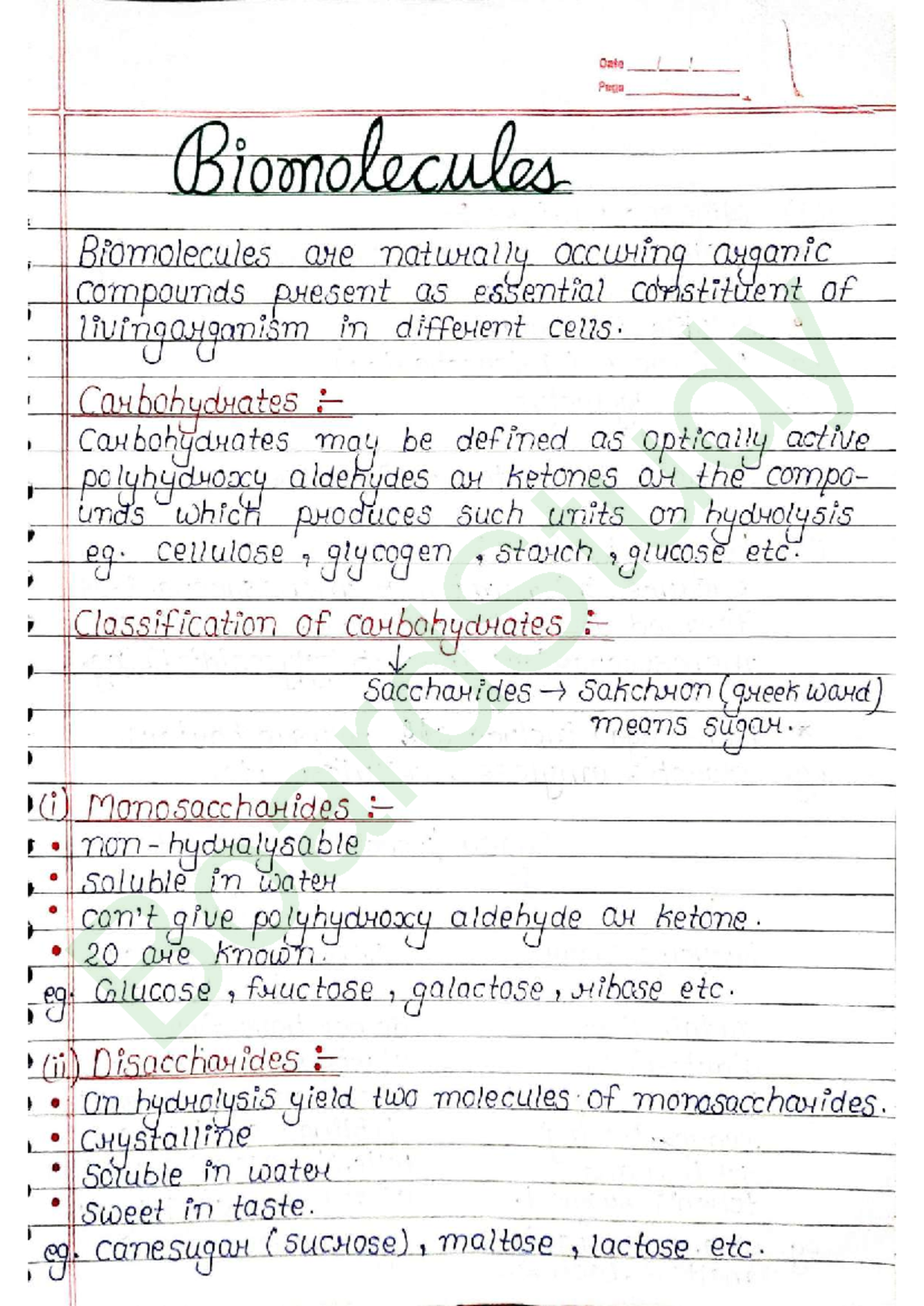 Biomolecules Study Guide for Retailers - Studocu