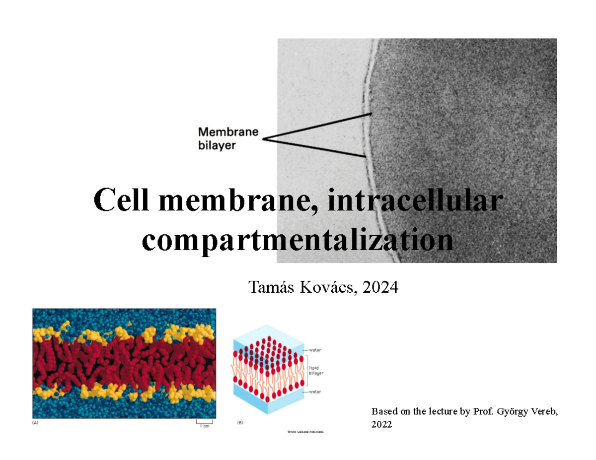 02 CB Membrane 2024 - Lecture Notes on Cell Membrane Structure and ...