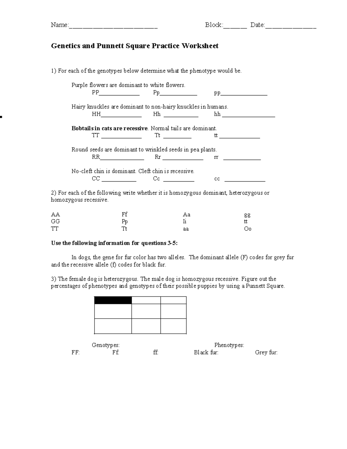 Genetics and Punnett Square Practice Worksheet: Phenotypes & Genotypes ...