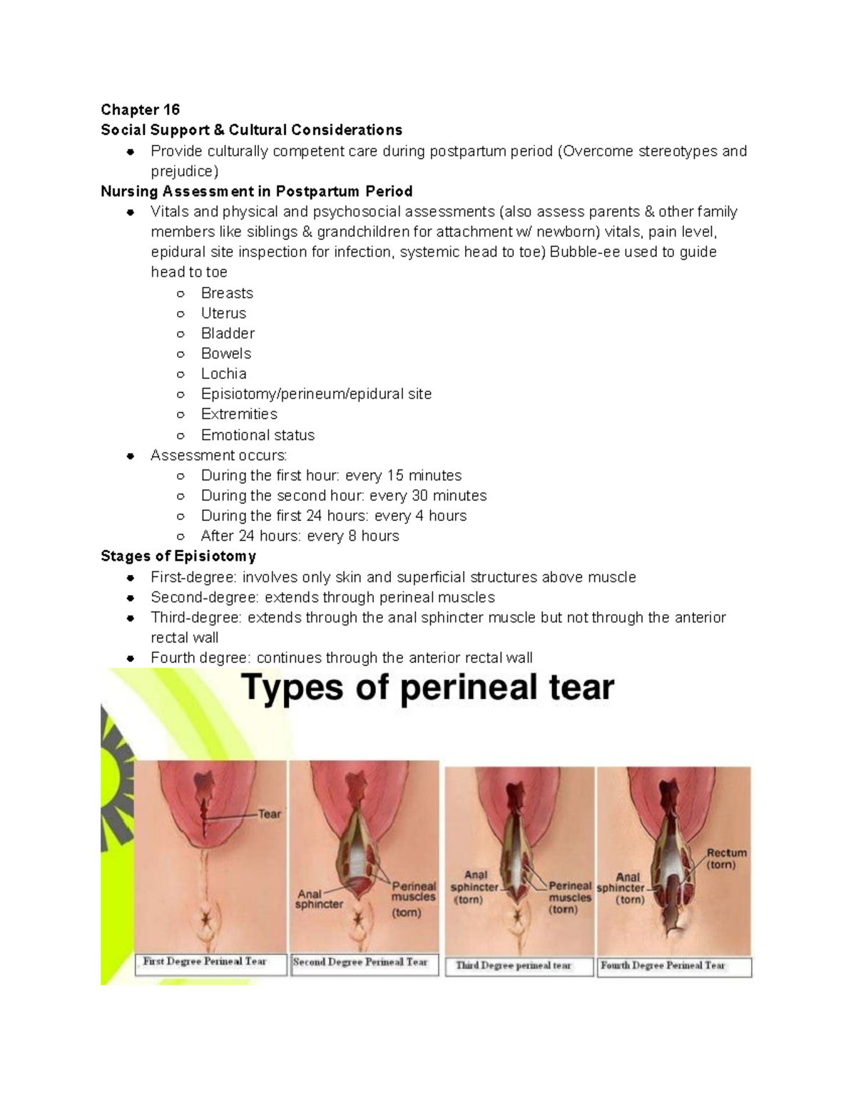 Ch 16 Nursing Management: Postpartum Assessment and Care Notes - Studocu