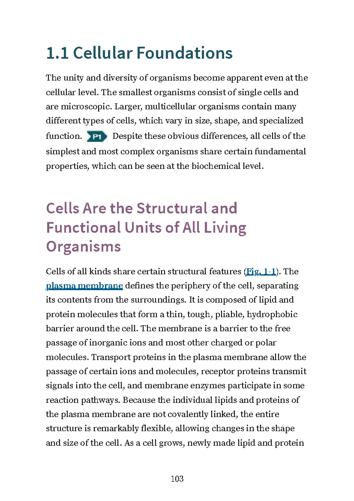 Cell Biology Overview: Cellular Foundations and Structures (BIO101 ...