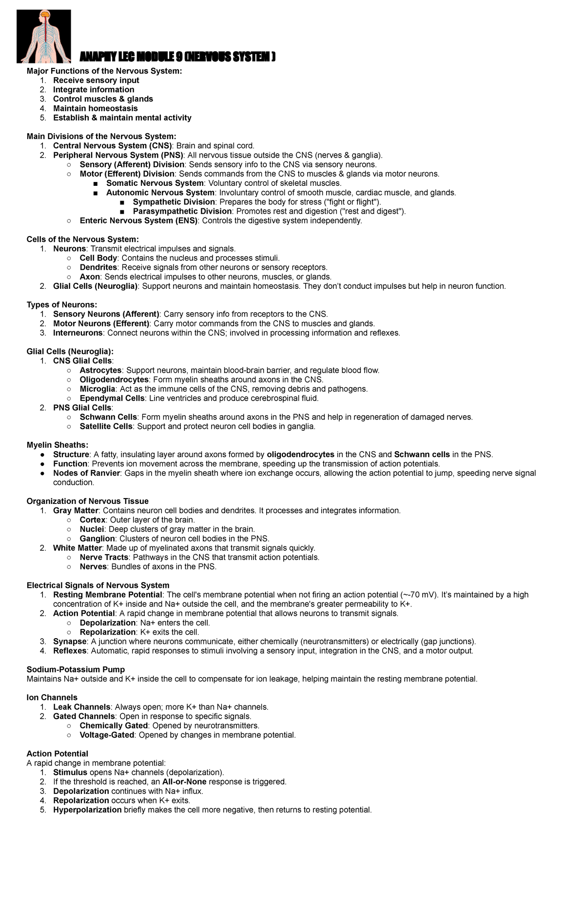 Anaphy LEC Module 9: Major Functions & Divisions of the Nervous System ...