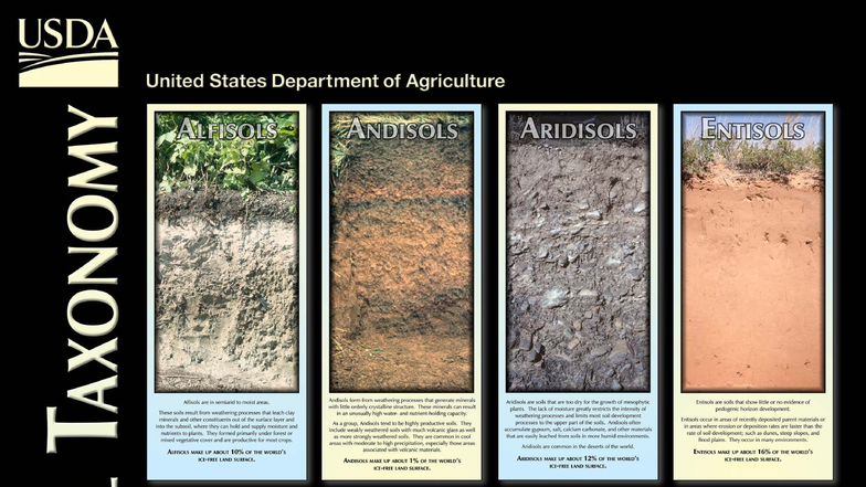 USDA Soil Taxonomy: Overview of Soil Orders and Characteristics - Studocu