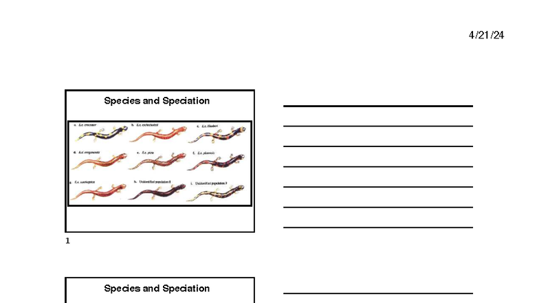 Species and Speciation: Key Concepts from Chapter 14 (Bio 101) - Studocu
