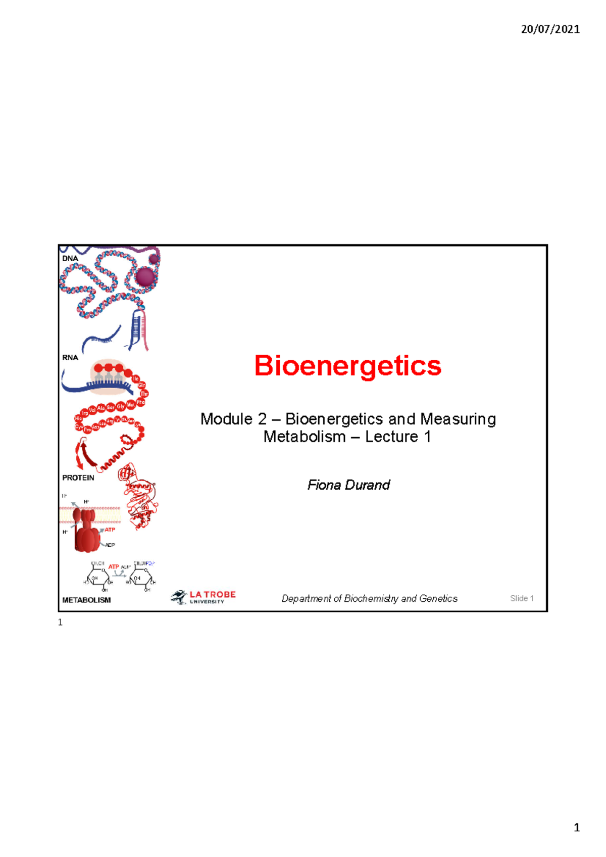 Bioenergetics Module 2: Measuring Metabolism Lecture 1 Notes - Studocu
