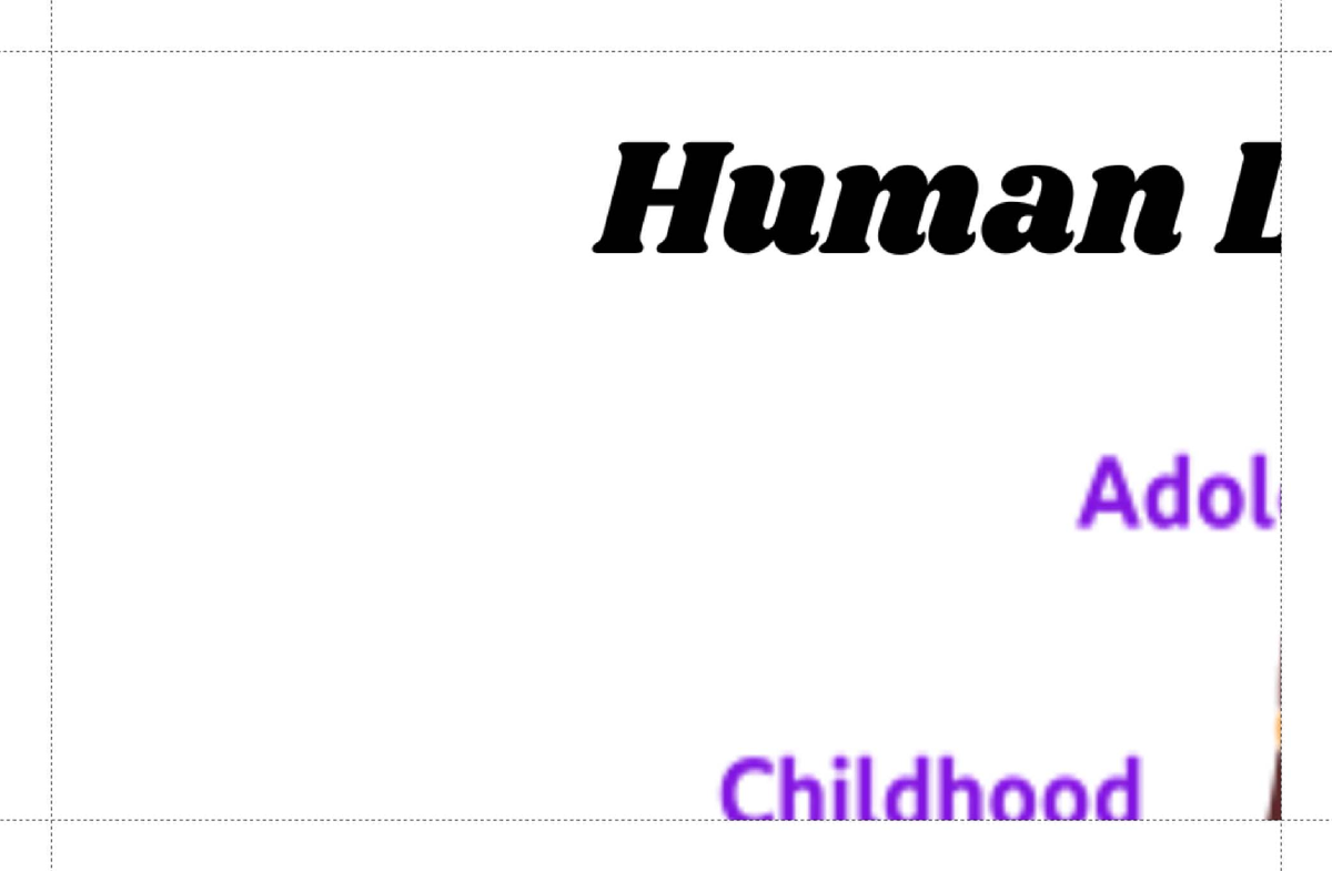Human Life Cycle - Secondary Education - Human L Adol Childhood .ife ...