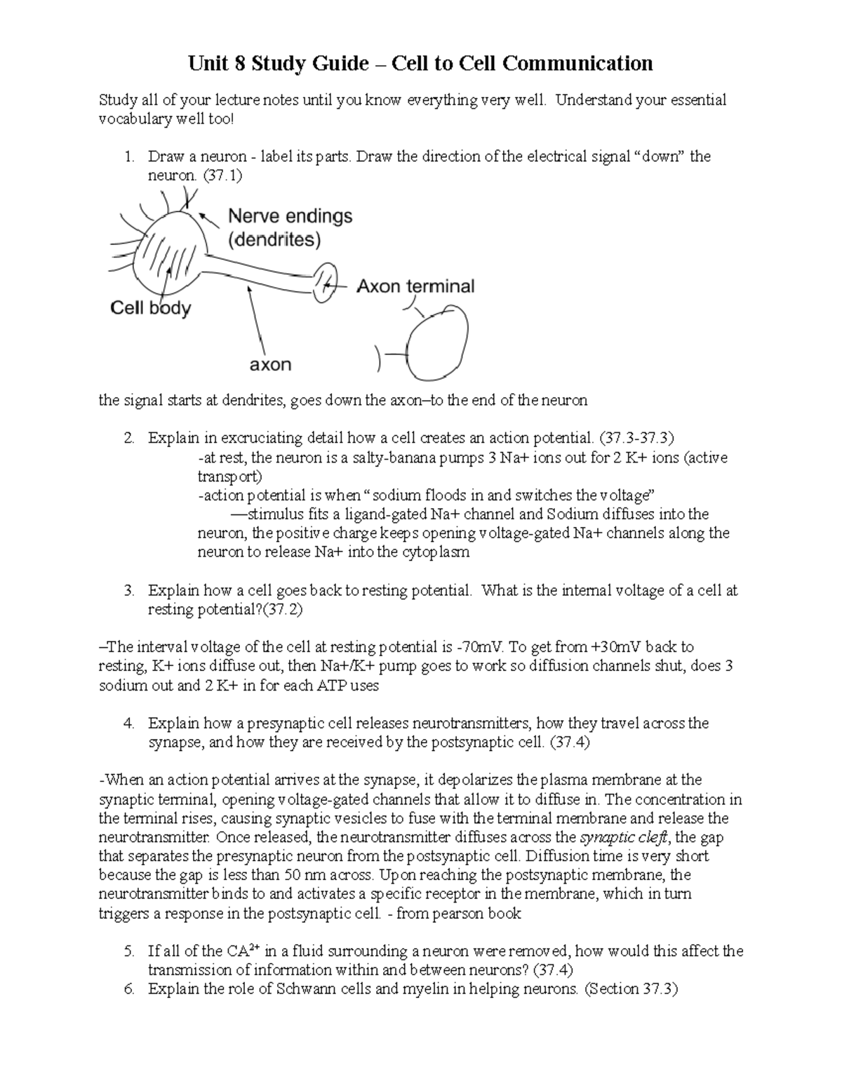 Unit 4 - AP Bio Neuron Action Potential & Neurotransmission Review ...