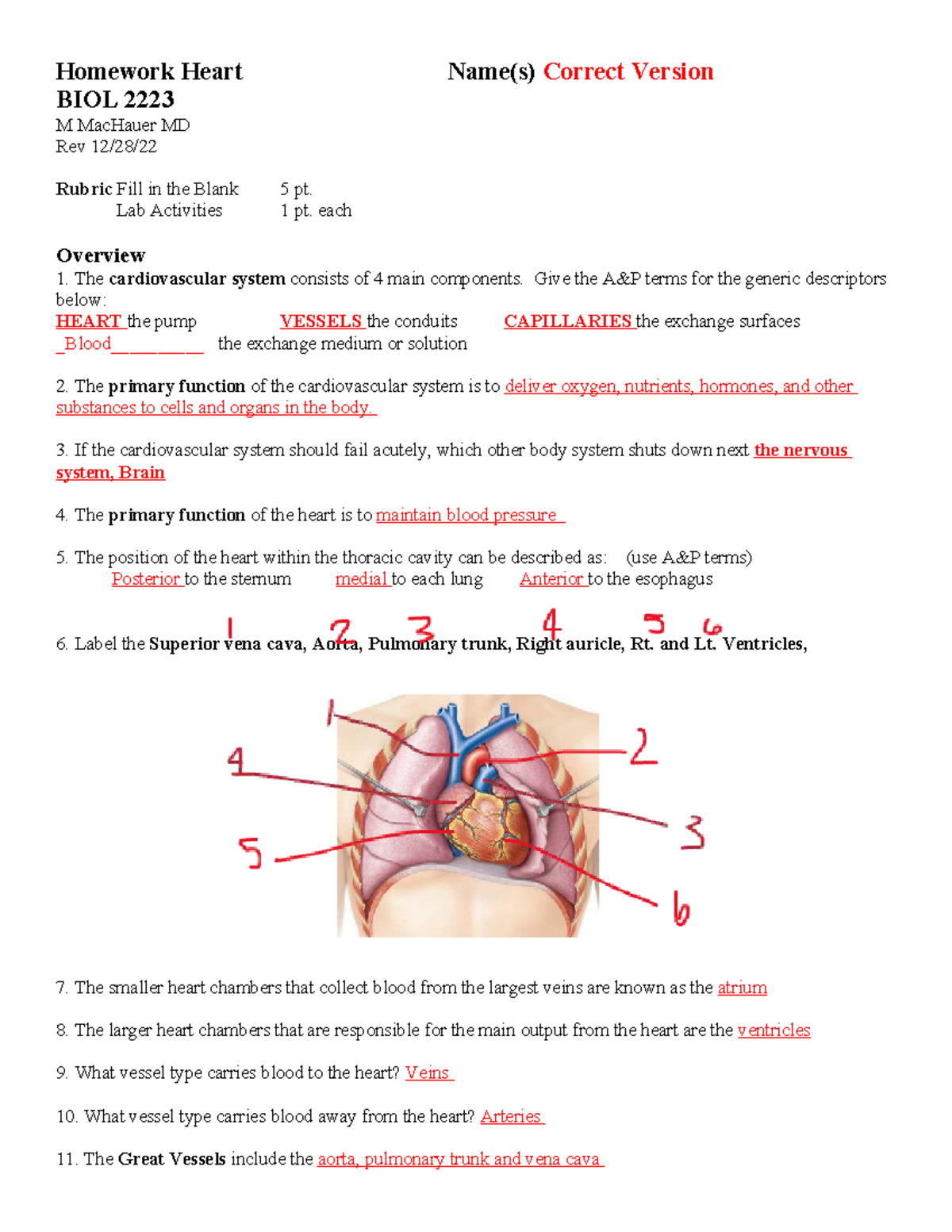 Cardiovascular System Overview & Heart Function Lab Activities (BIOL 2223) - Studocu