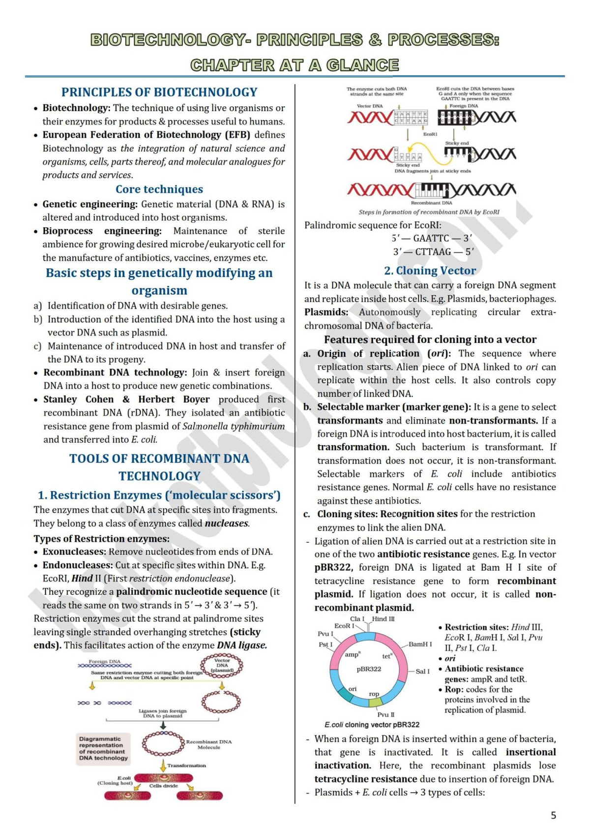 Chap 02 - Class note - PRINCIPLES PROCESSES: CHAPTER AT A GLANCE ...