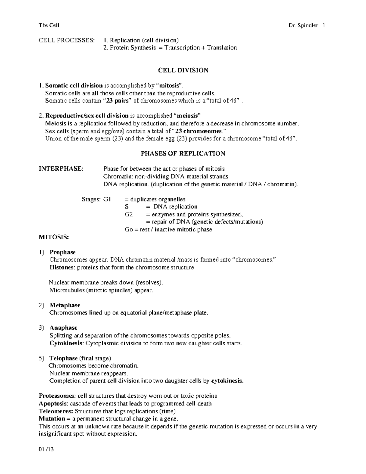 CELL 101: Overview of Mitosis and Protein Synthesis Processes - Studocu
