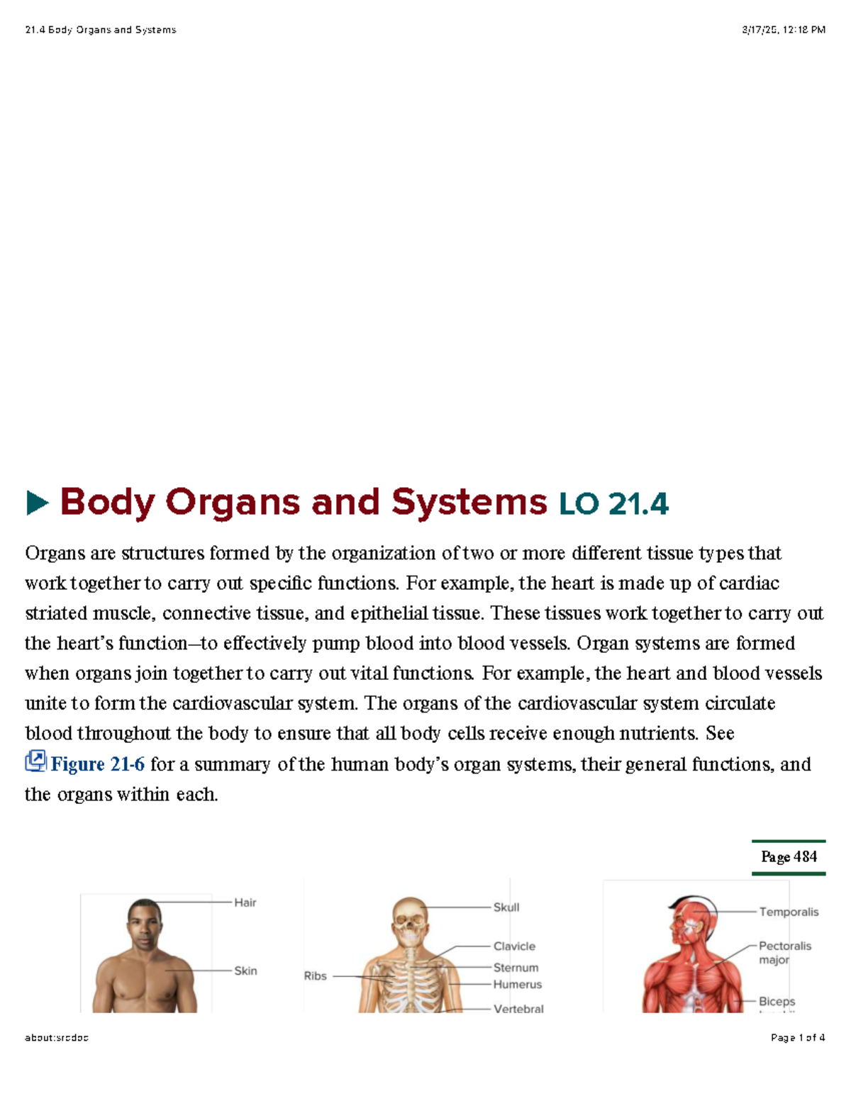 Understanding Body Organs and Systems - Chapter 21.4 Overview - ⊲ Body ...
