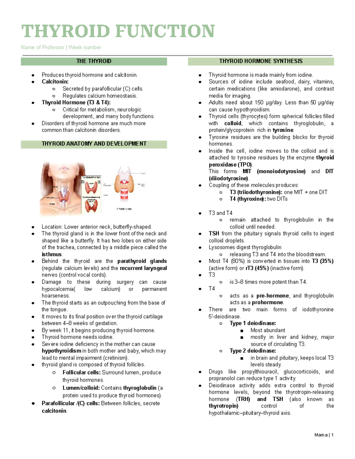 THYROID FUNCTION: Overview and Key Concepts (CC2 Prelim) - Studocu