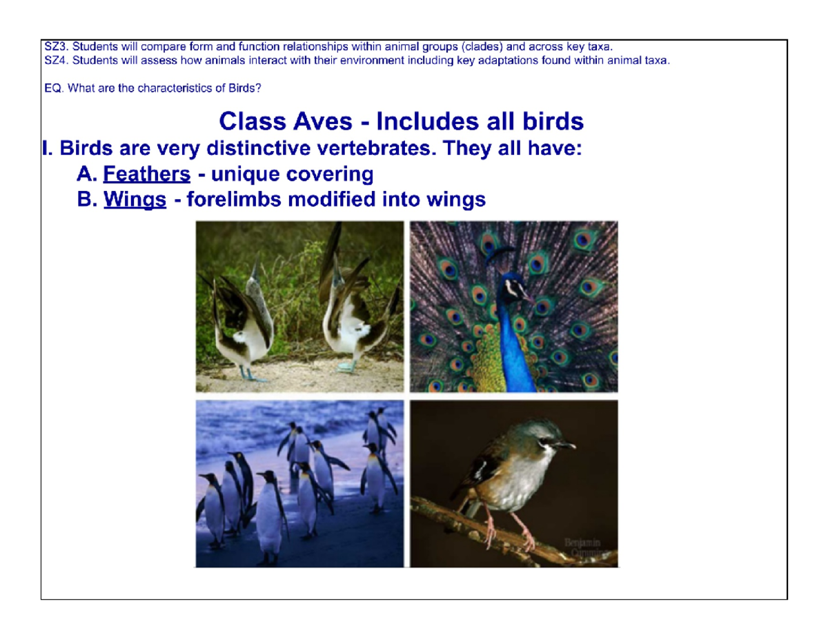 Class Aves SZ3 - Comprehensive Notes on Bird Characteristics and ...