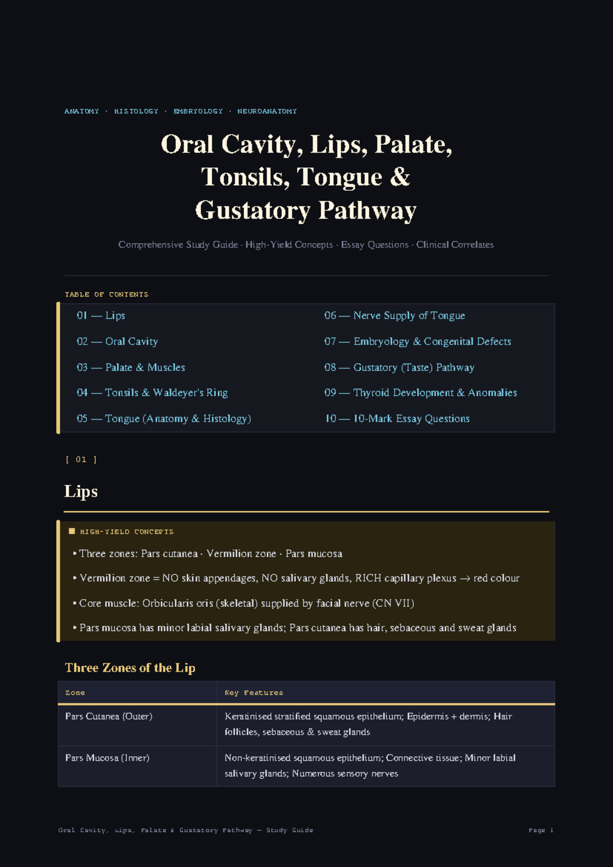 ANATOMY 101: Oral Cavity, Lips, Palate & Gustatory Pathway Study Guide ...