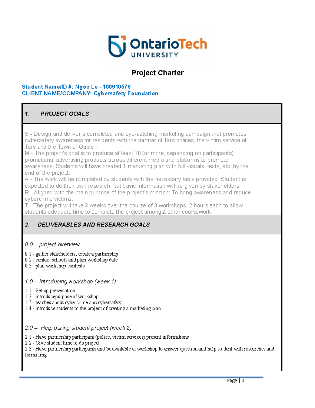 Project Charter: Marketing Campaign for Cybersafety Awareness ...