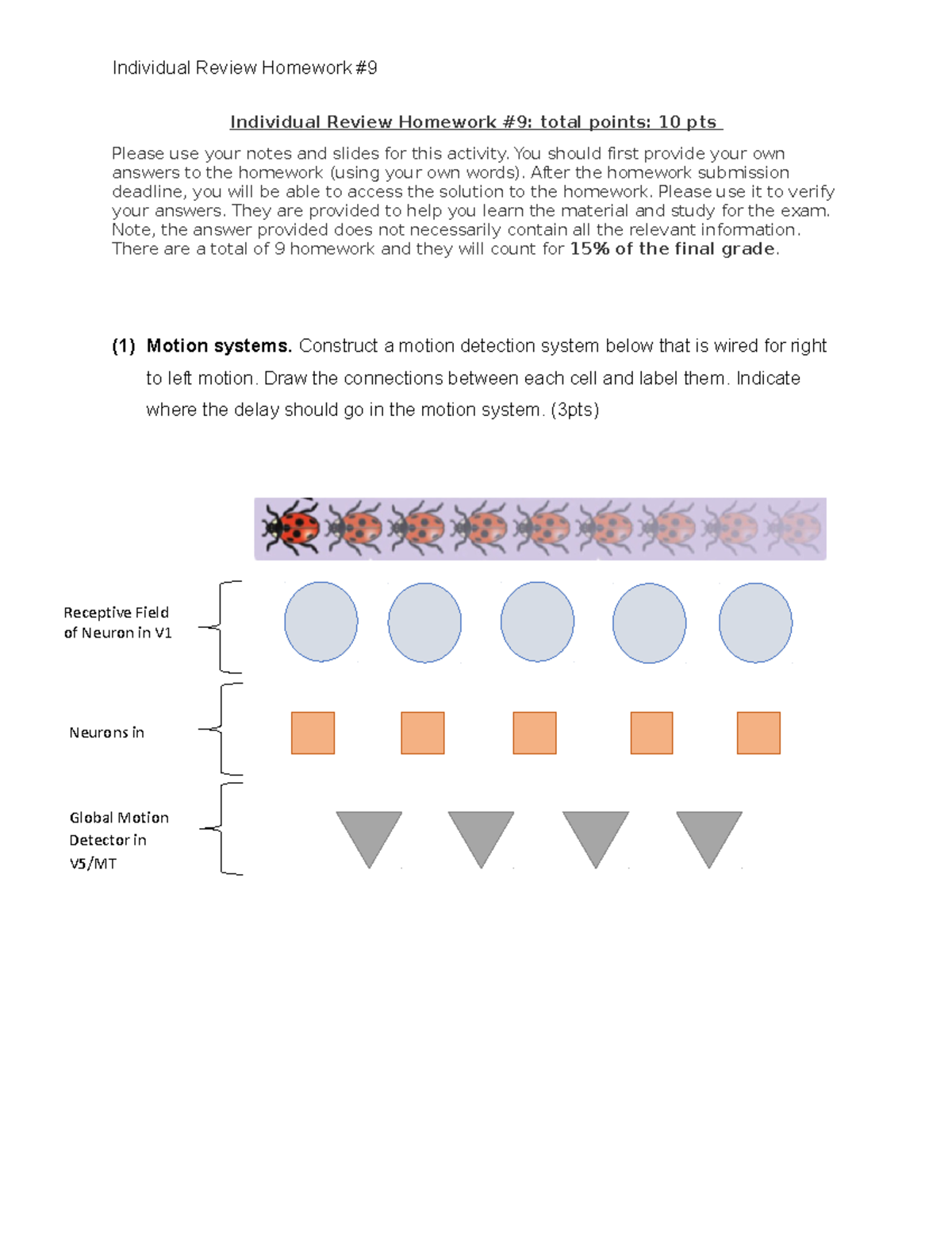 Individual Review Homework #9: Motion Detection Concepts - Studocu