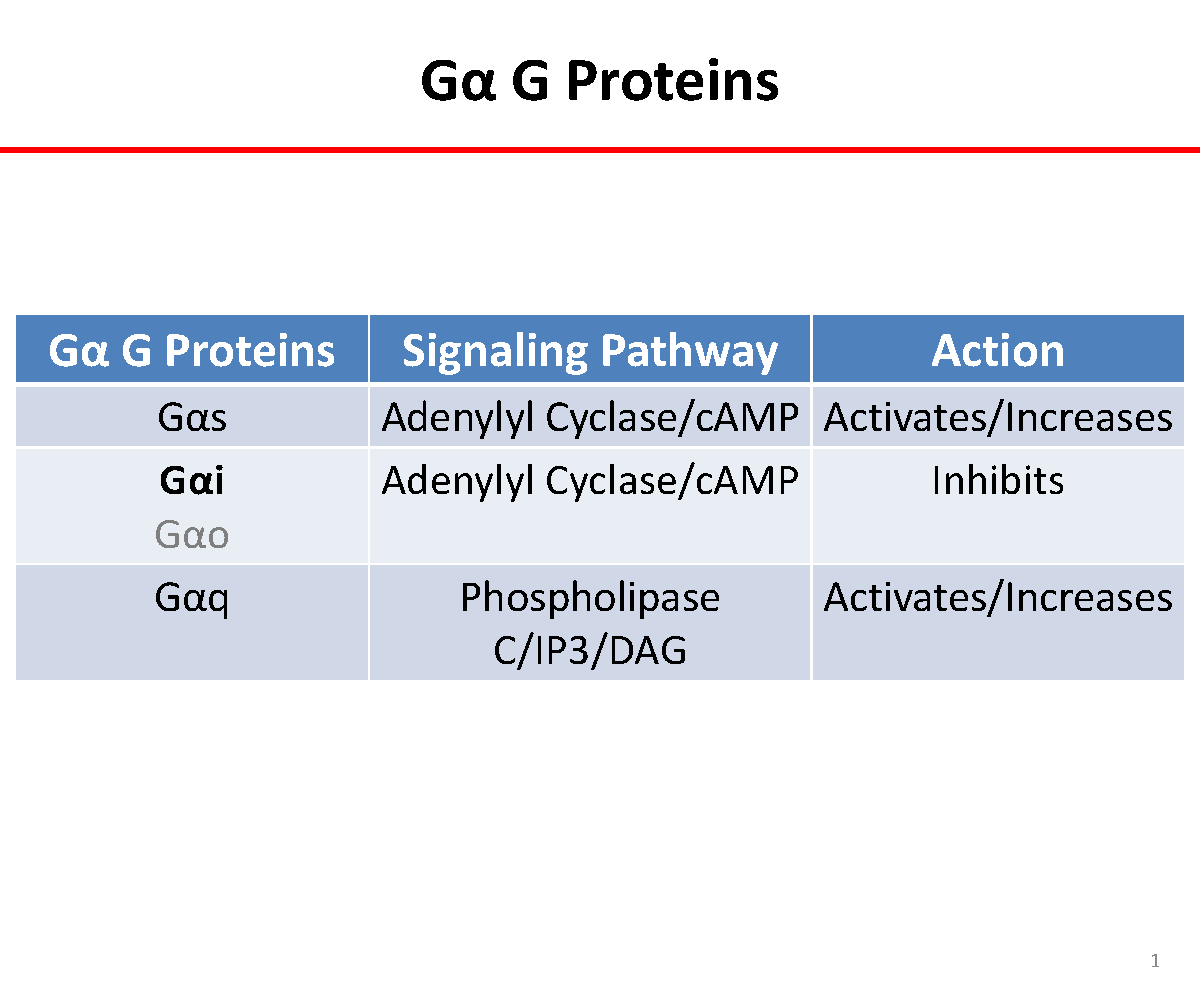 Receptor Theory and Drug Binding: KD and Affinity in Pharmacology - Studocu