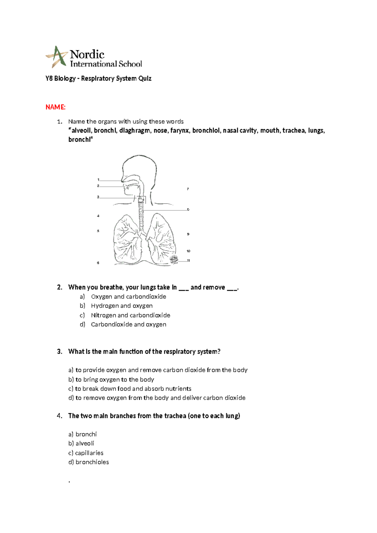Y8 Biology - Respiratory System Quiz Questions and Answers - Studocu