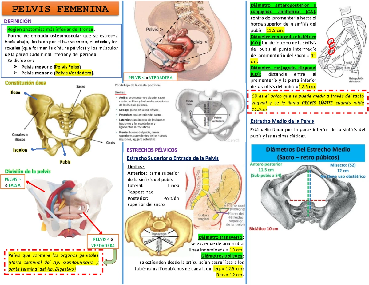 Distocias Funiculares - DISTOCIAS FUNICULARES Se considera distocia ...