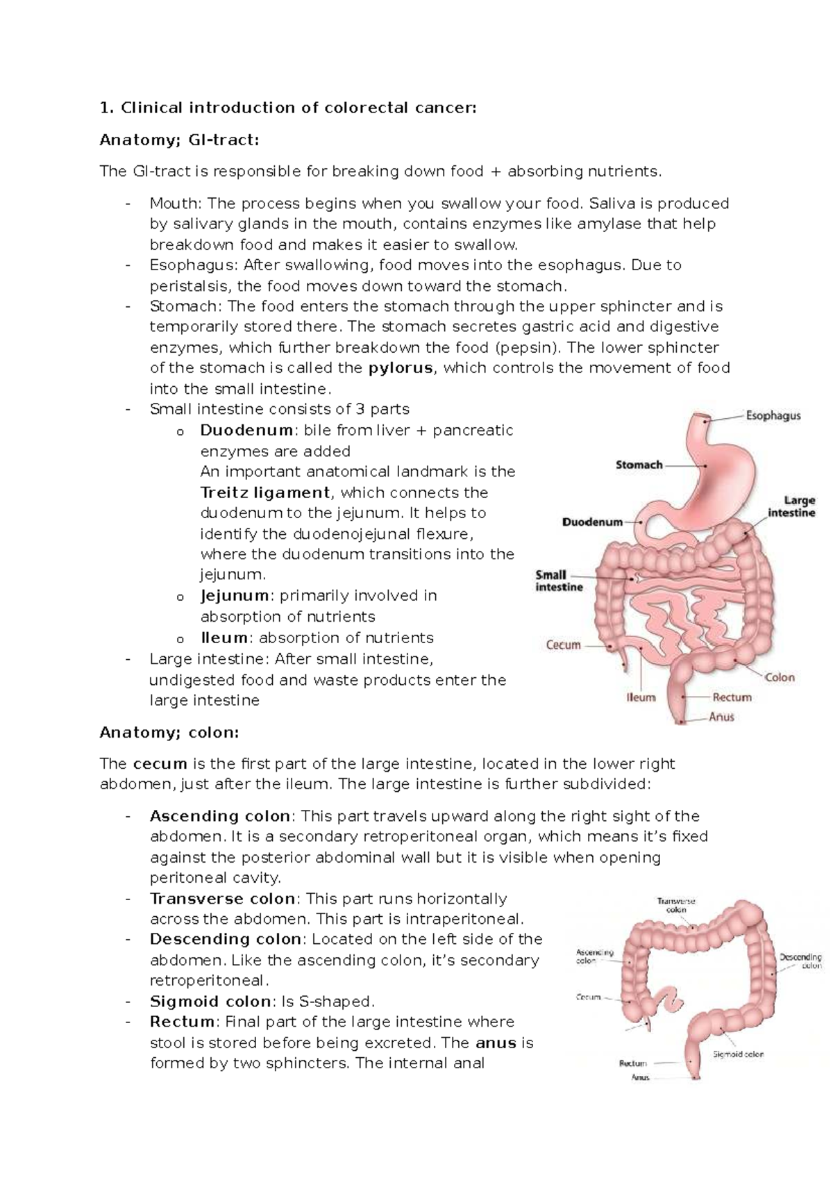 Clinical Introduction to Colorectal Cancer: Lecture Notes & Werkgroep ...