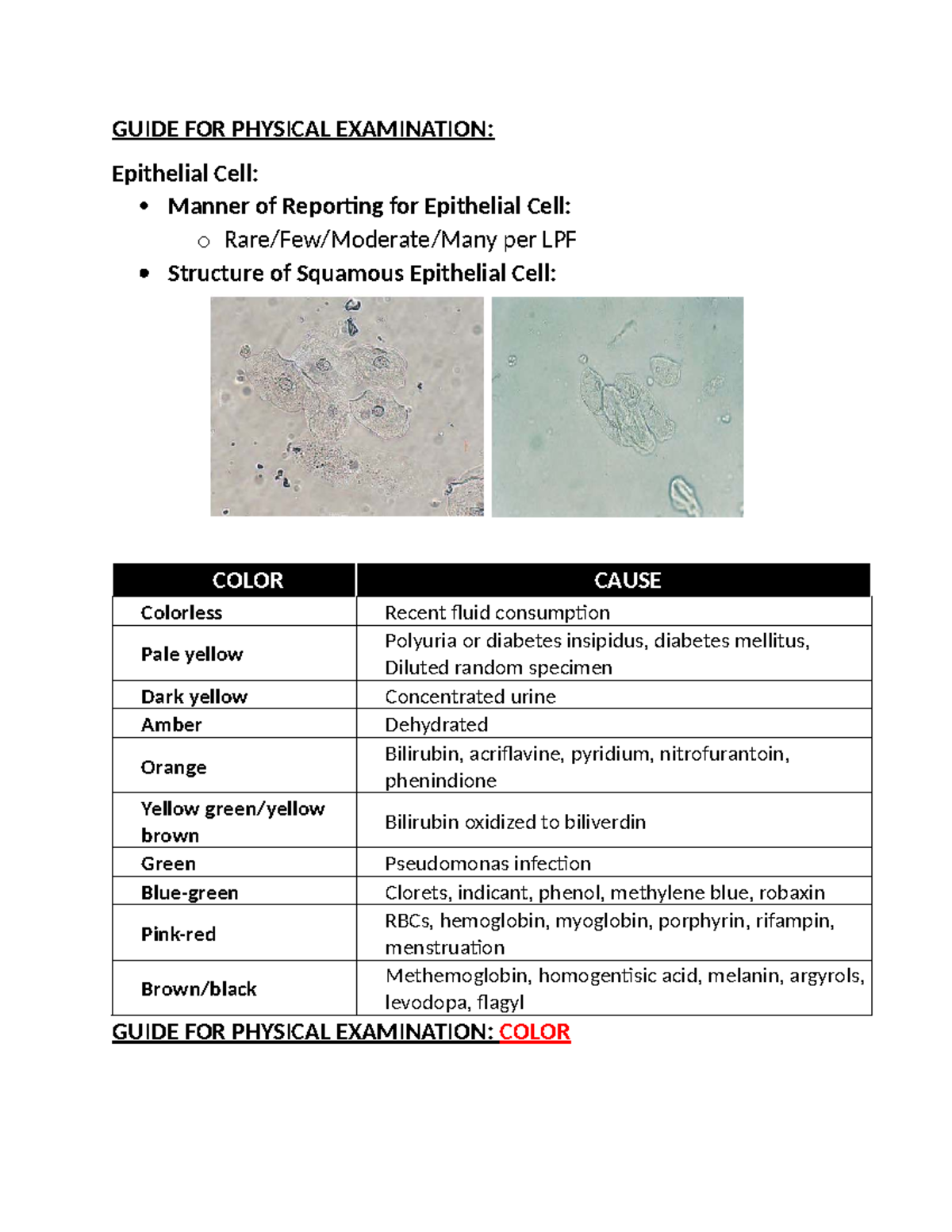 URINALYSIS GUIDE - GUIDE FOR PHYSICAL EXAMINATION: Epithelial Cell ...