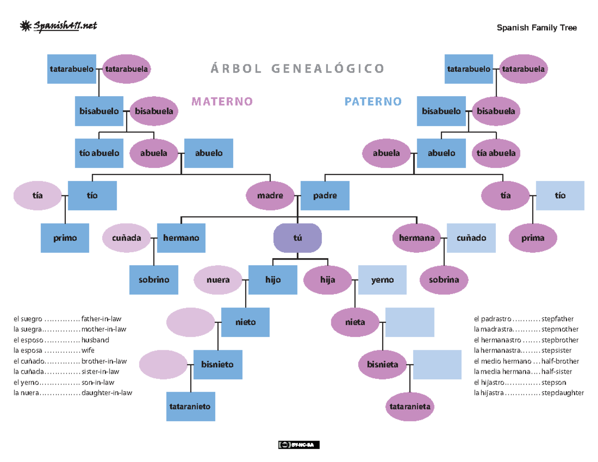 Spanish Family Tree Vocabulary - Genealogy Terms in Spanish - Studocu