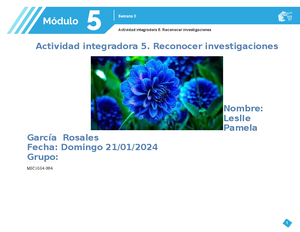 Actividad integradora 5 modulo 5 - PORTADA NOMBRE: ASESOR ACTIVIDAD ...