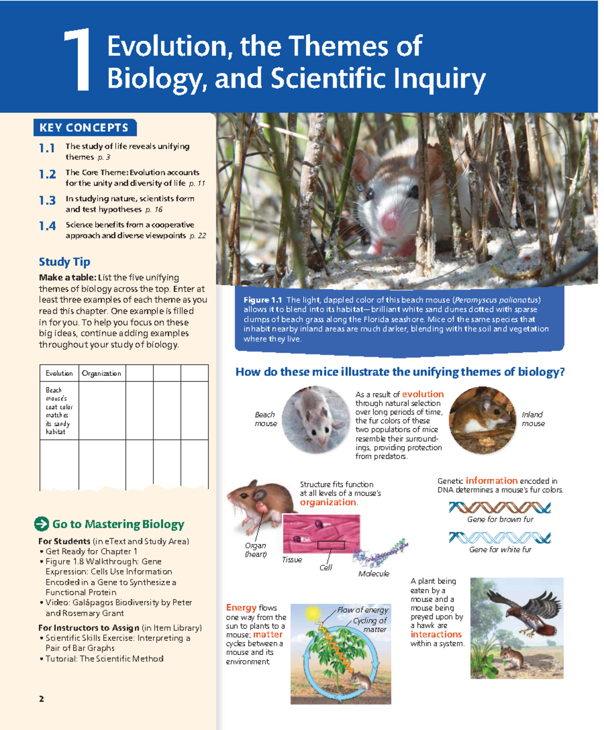 Biology Concepts and Themes: Evolution, Inquiry, and Key Ideas (BIO101 ...