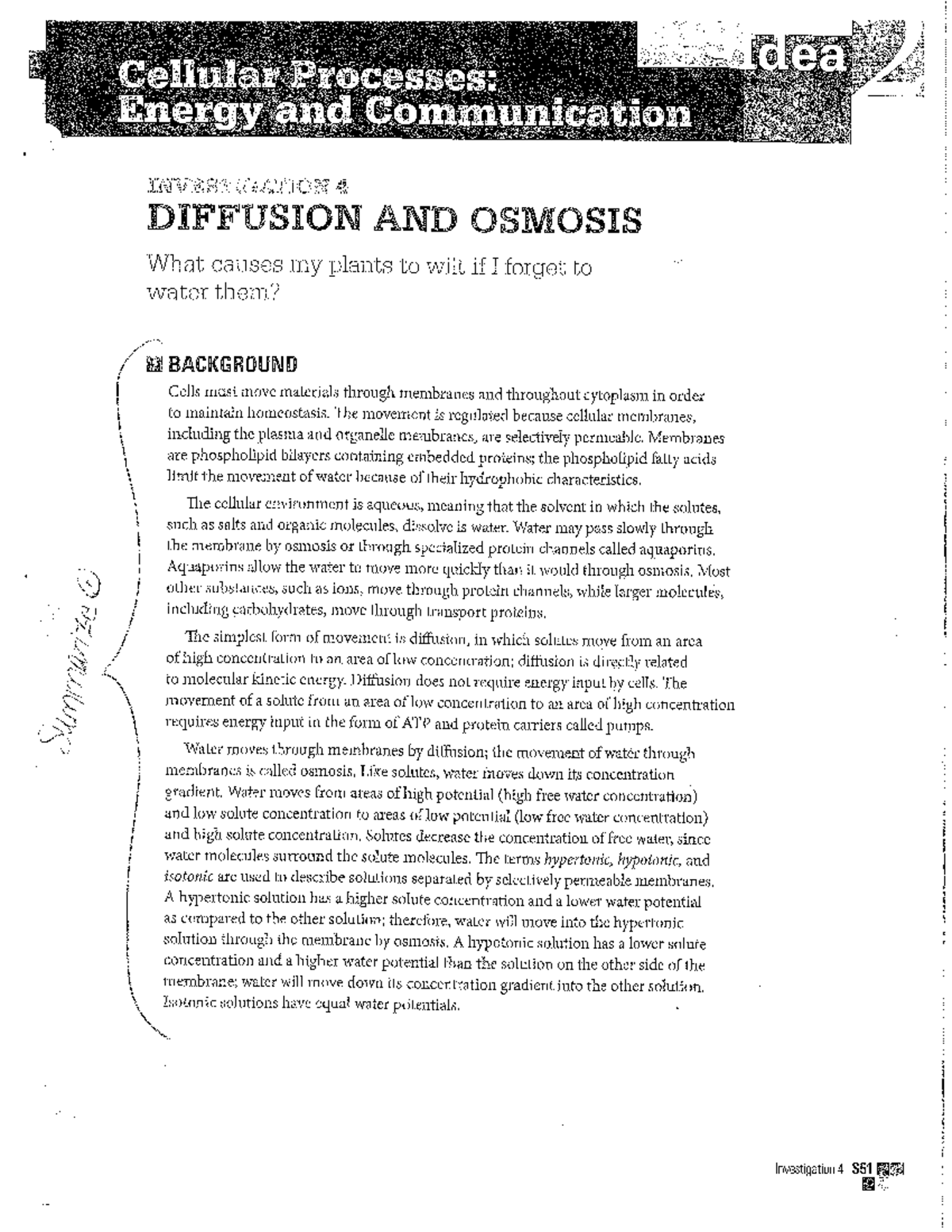 Diffusion and Osmosis Lab - idea Cellular Processes: Energy and ...
