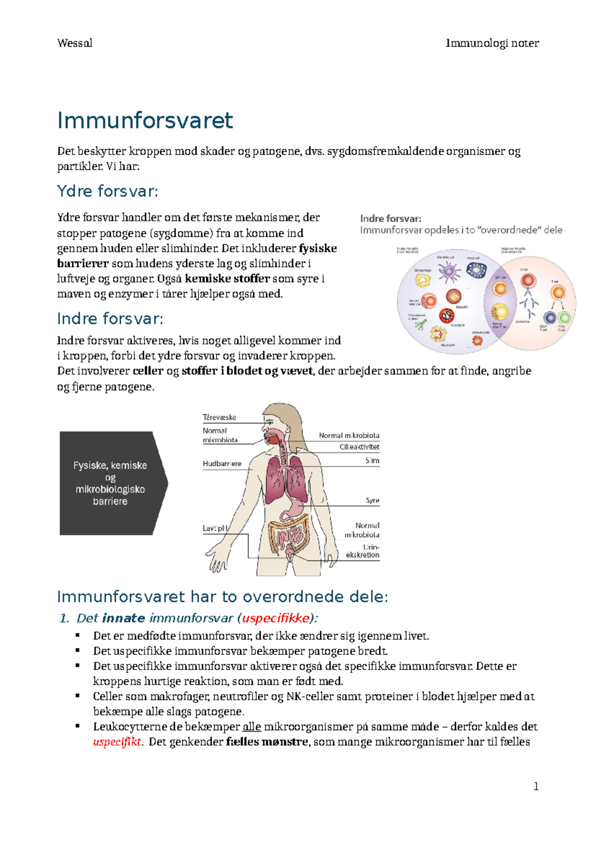Immunforsvaret - Noter til Immunologi (Wessal) - Studocu