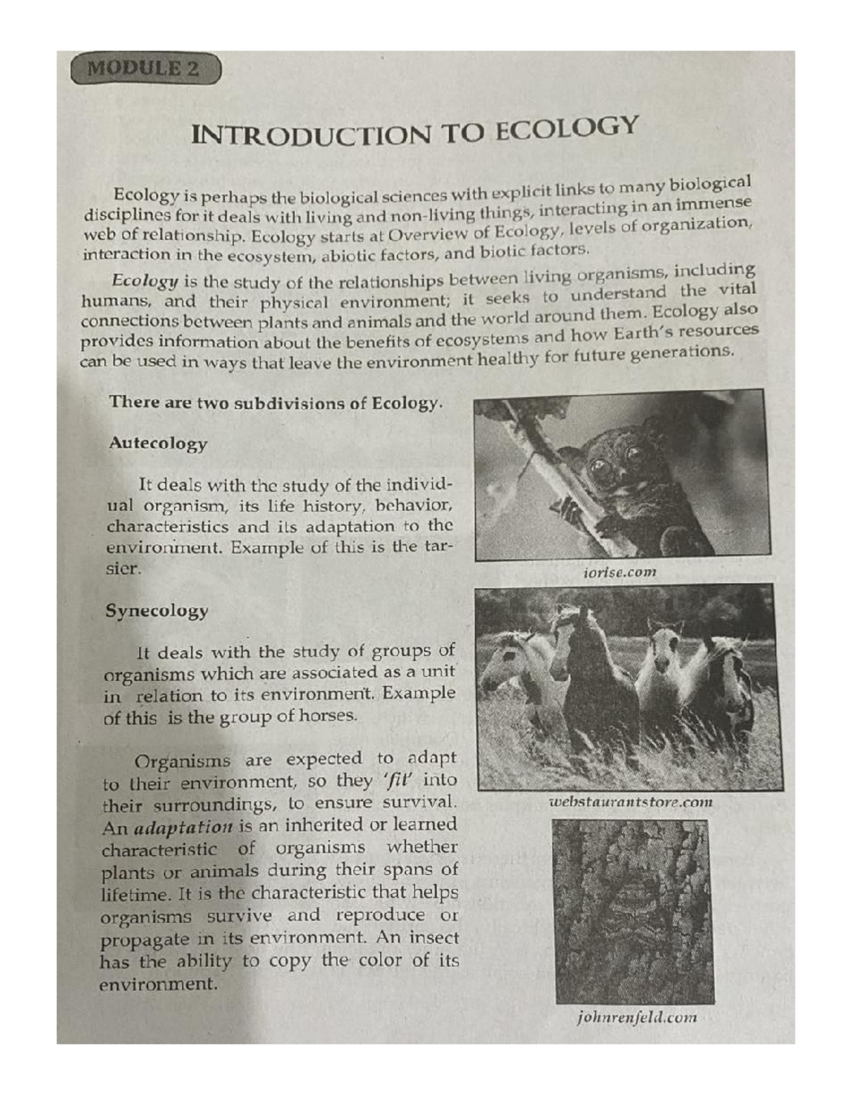 ECOL 101: Introduction to Ecology and Ecosystem Interactions - Studocu