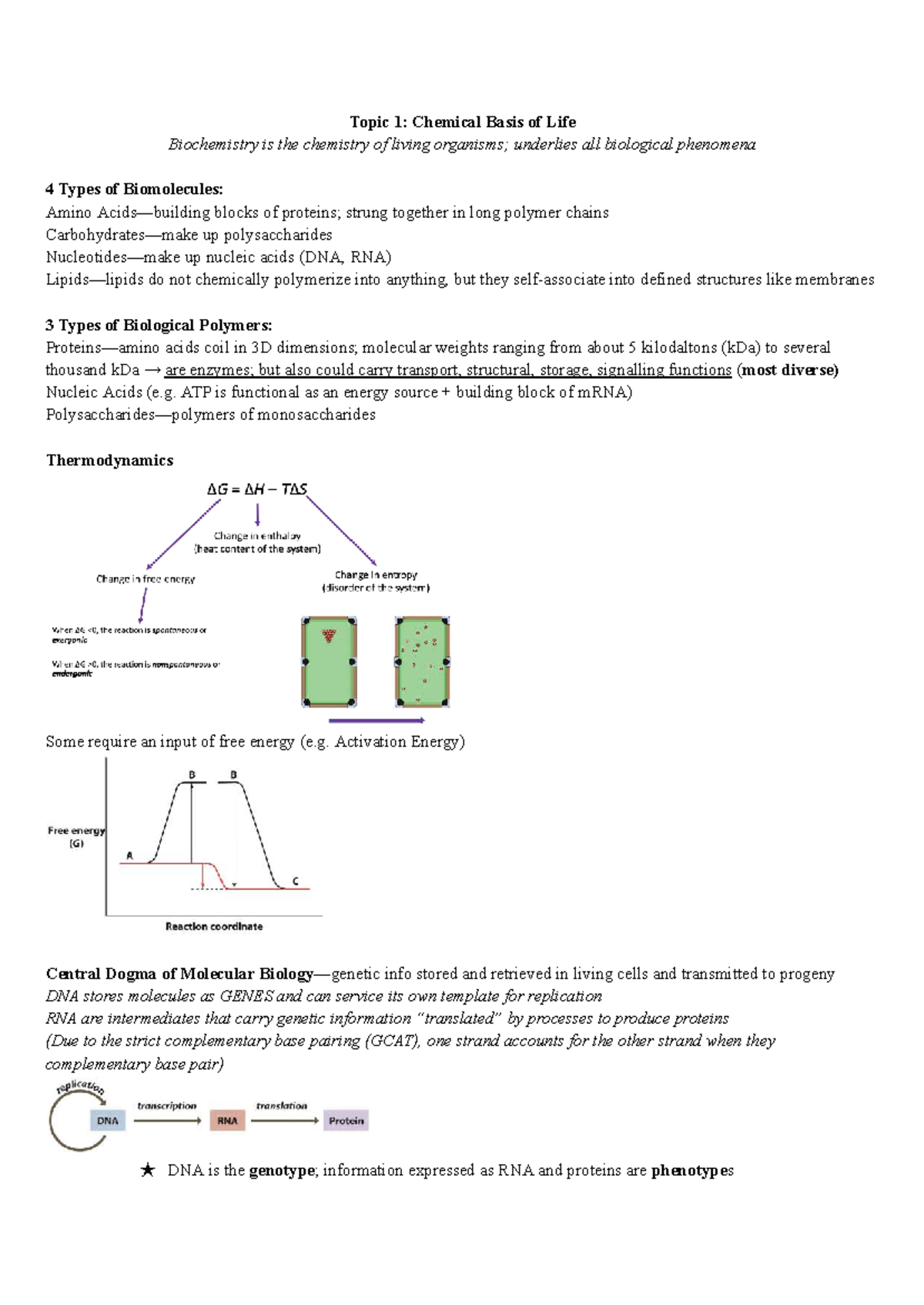 Biochemistry 2280: Chemical basis of life and protein structure notes ...