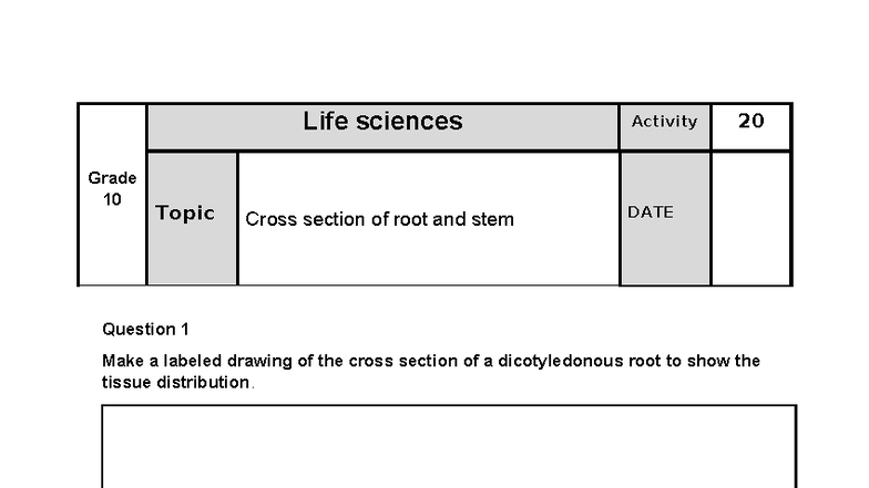 Life Sciences Grade 10: Cross Section of Root & Stem Activity 20 - Studocu