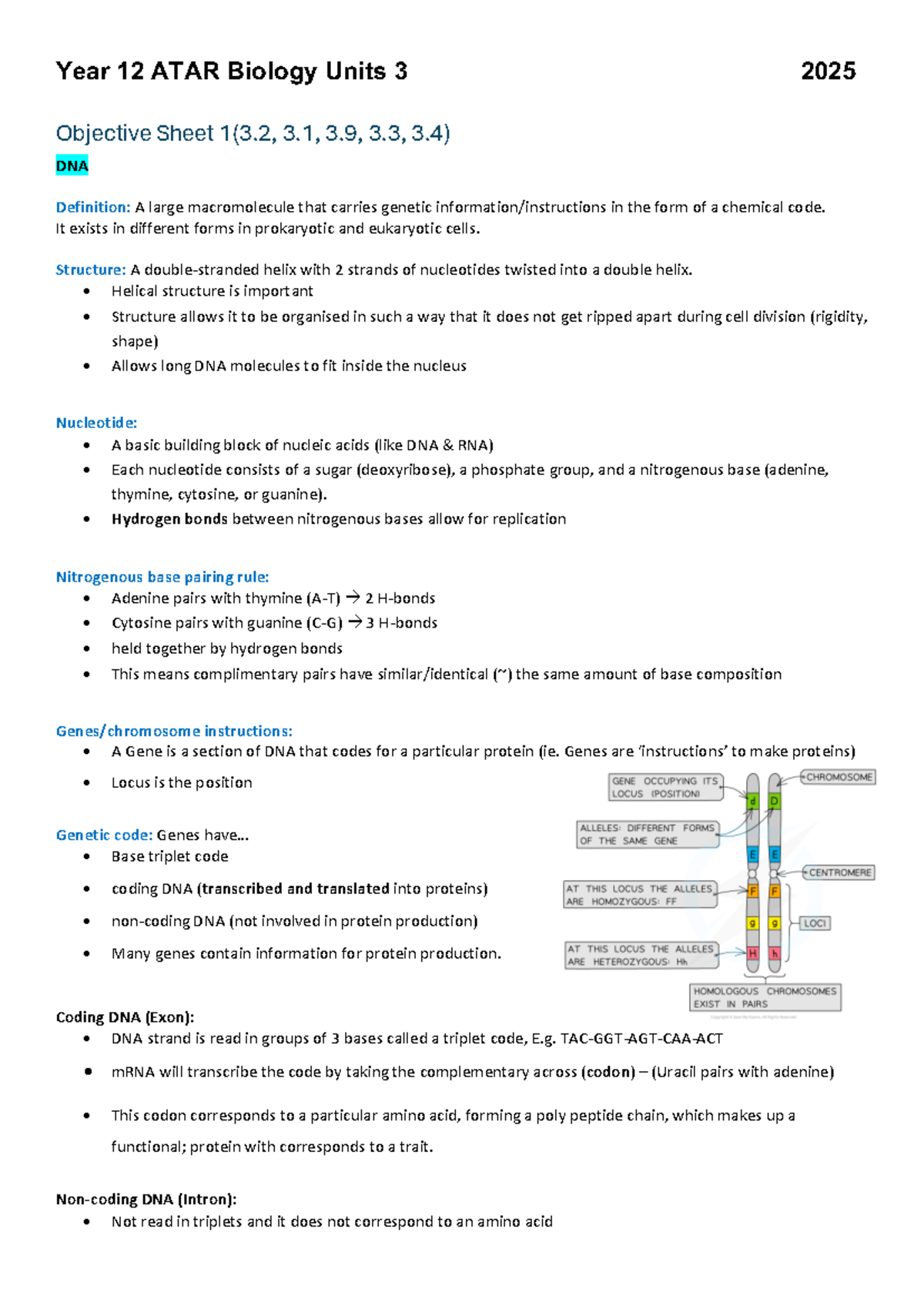 Bio U3 - WACE Sem1 Exam Notes: DNA, Replication & Cell Division - Studocu