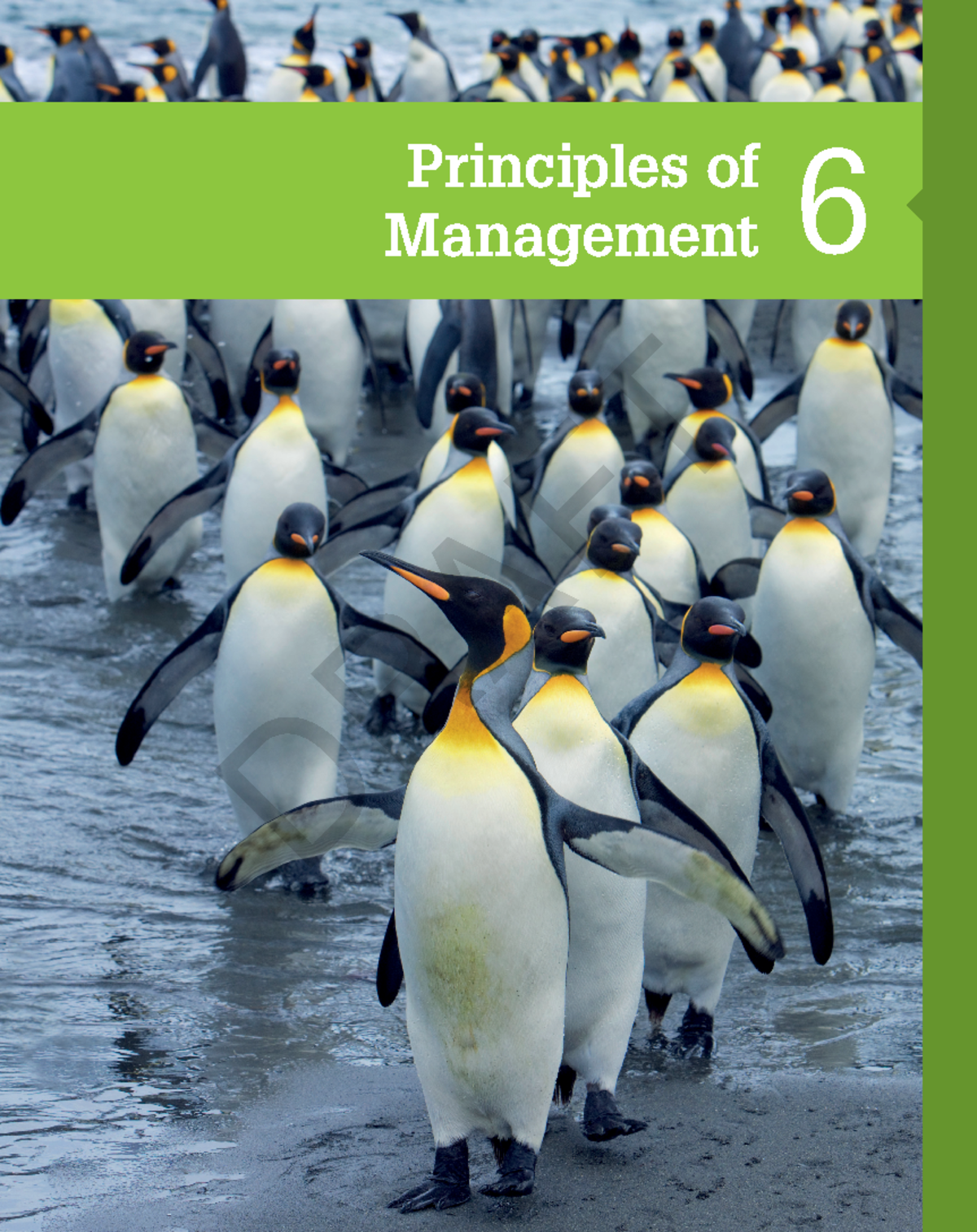 Unit 6 Principles of Management: Understanding Leadership Styles and ...