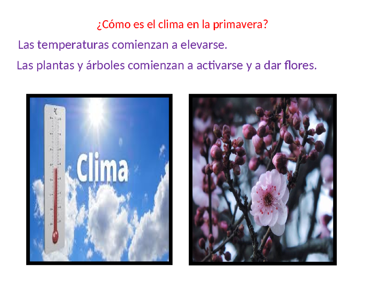 Clima en Primavera: Temperaturas y Estilo de Vestimenta - Studocu