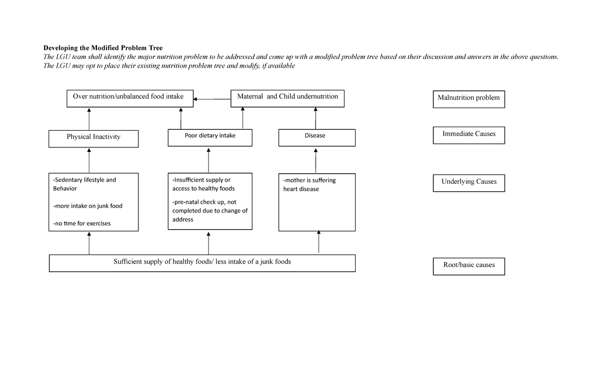 Developing the Modified Problem Tree - The LGU may opt to place their ...