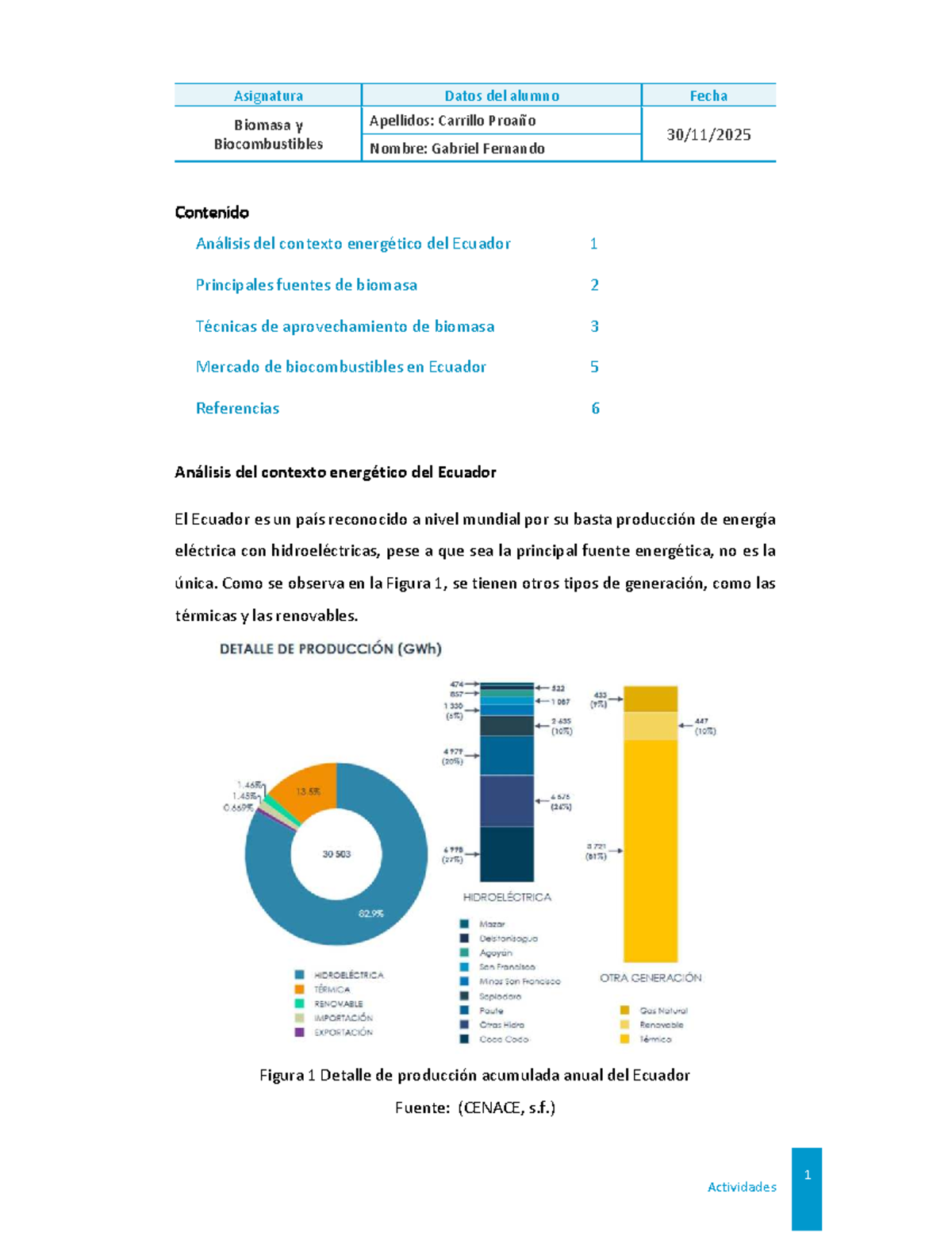 Análisis del Contexto Energético y Biocombustibles en Ecuador - BIOM ...