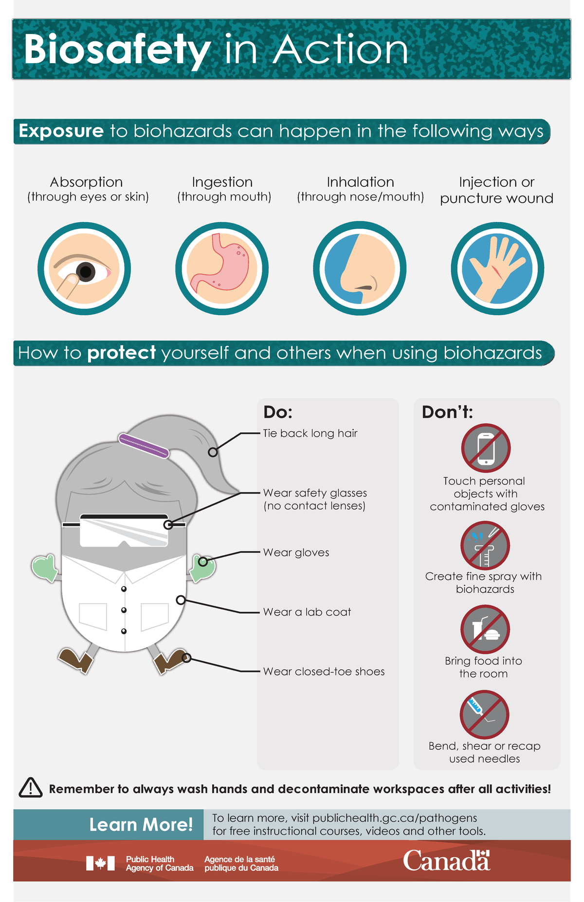 Poster - Biosafety in Action: Protecting Against Biohazards - Studocu