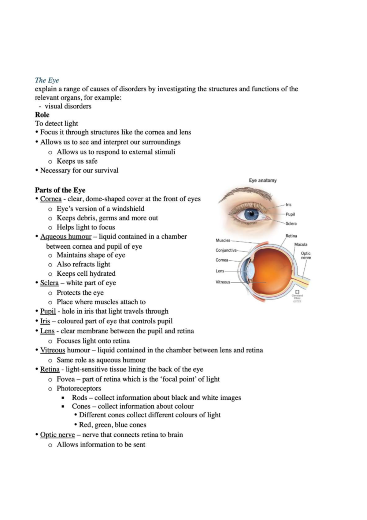 Eye Disorders: Causes, Structures, and Functions Explained - Studocu